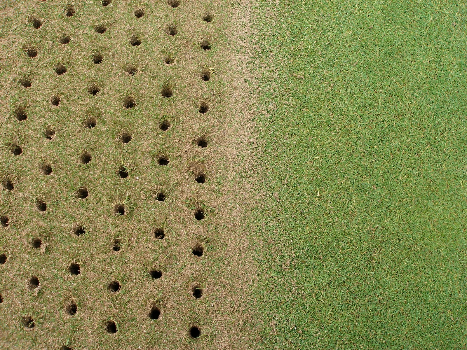2025 Scottsdale Arizona Golf Course Aerification Schedule ...